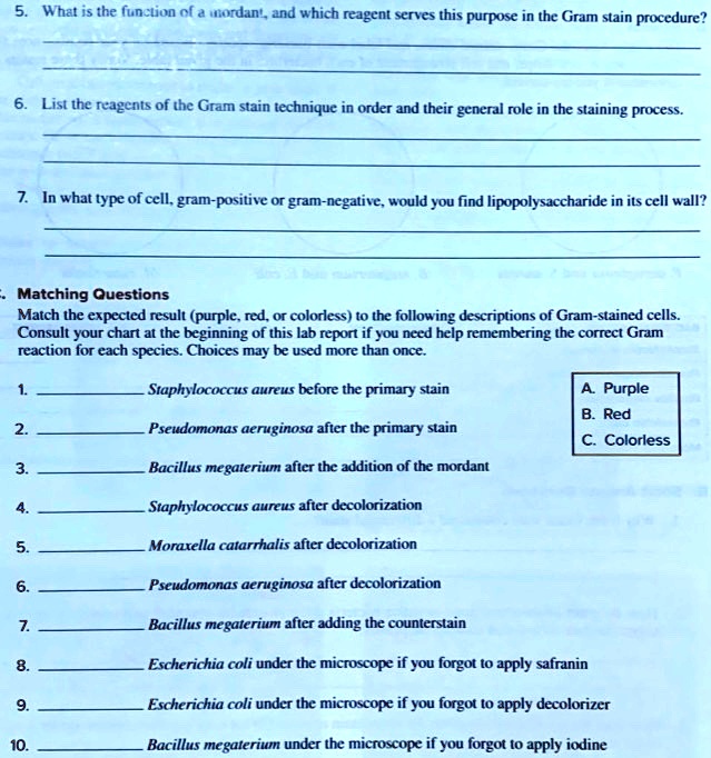SOLVED: What is the function of a reagent in the Gram stain procedure? List the reagents of the ...