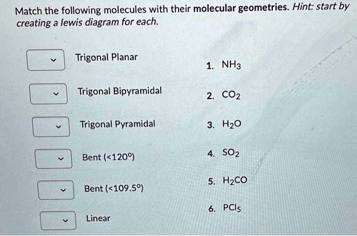 SOLVED: Text: Match the following molecules with their molecular ...