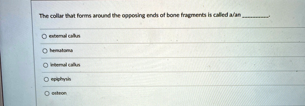 the collar that forms around the opposing ends of bone fragments is ...