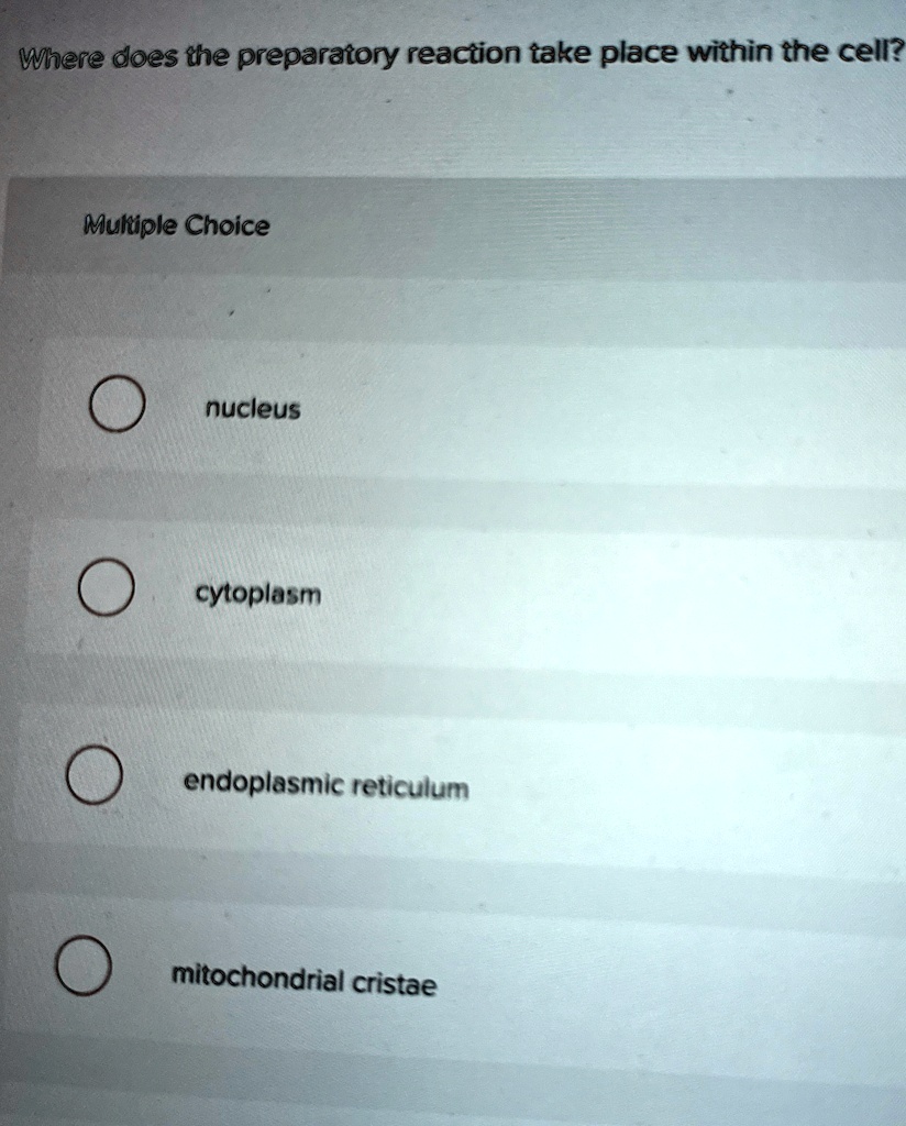 Where does the preparatory reaction take place within the cell ...