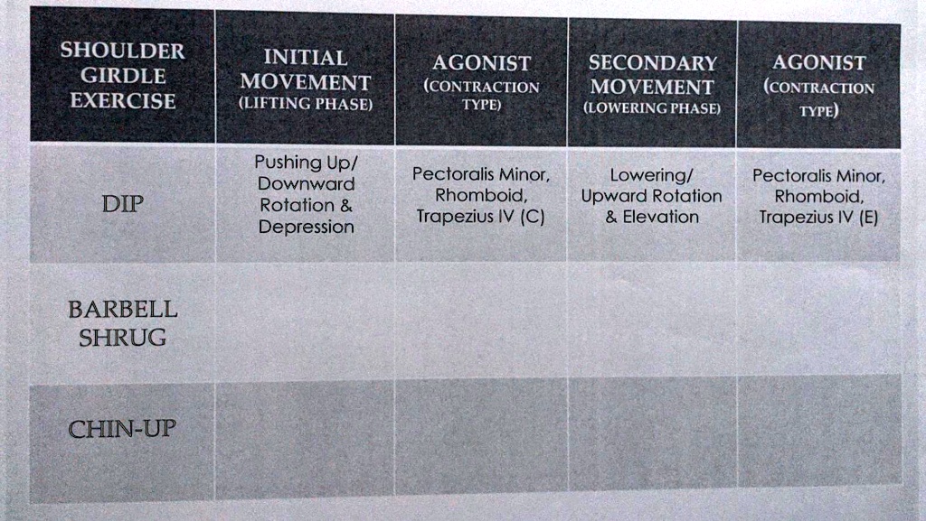 SOLVED: Shoulder Girdle Exercise INITIAL AGONIST (CONTRACTION TYPE ...