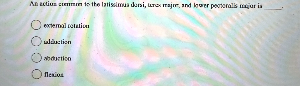 an action common to the latissimus dorsi teres major and lower ...