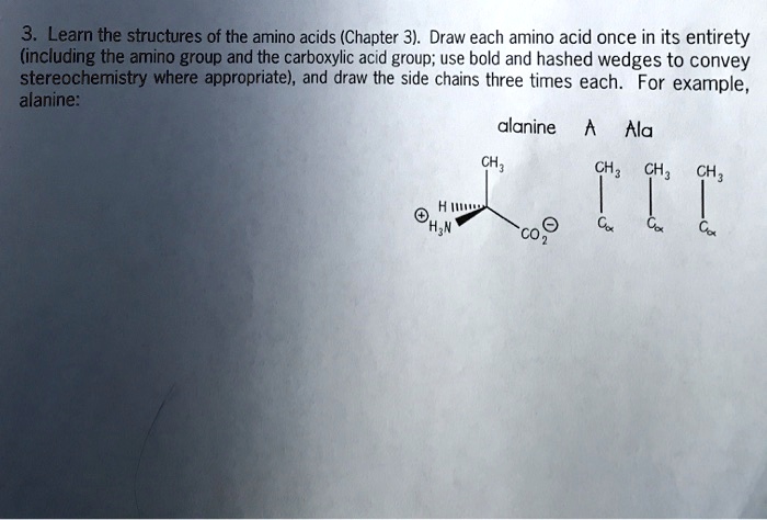 SOLVED: Learn the structures of the amino acids (Chapter 3). Draw each ...