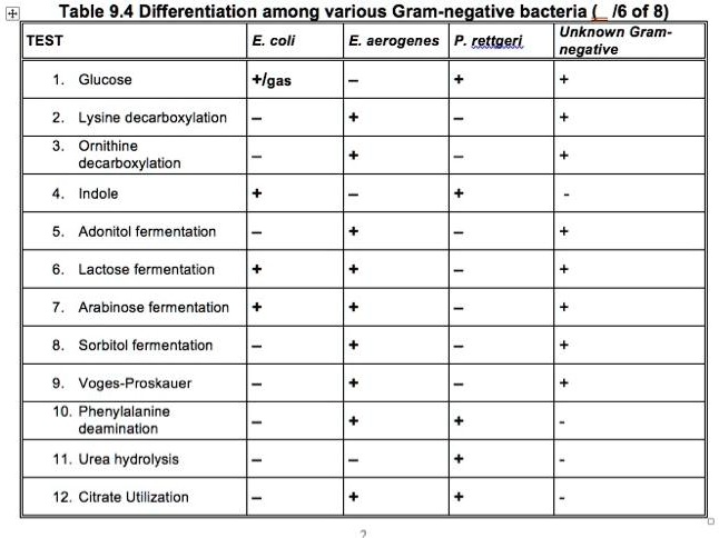 SOLVED: Table 9.4 Differentiation among various Gram-negative bacteria ...