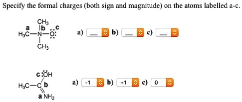SOLVED: Specify the formal charges (both sign and magnitude) on the ...