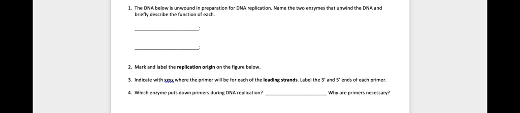1. The DNA below is unwound in preparation for DNA replication. Name ...
