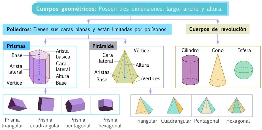 SOLVED: Analizo si los nombres de los elementos de los cuerpos ...