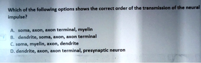 Solved Which Of The Following Options Shows The Correct Order Of The