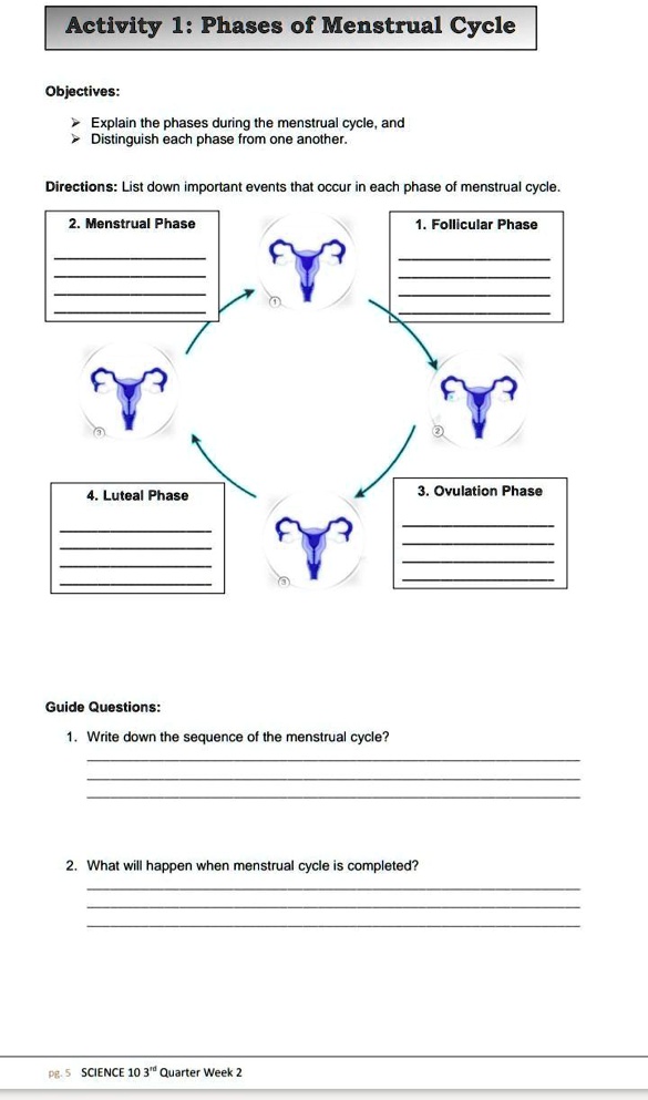 Activity 1: Phases of Menstrual Cycle Objectives: ? Explain the phases ...
