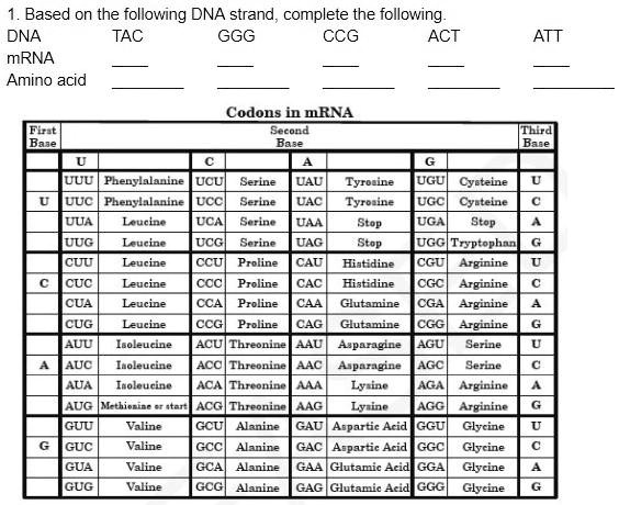 based on the following dna strand complete the following dna tac ggg ...