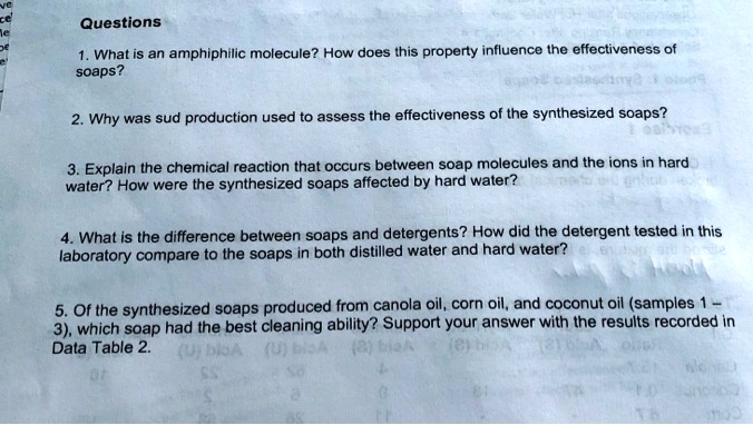 Questions 1. What is an amphiphilic molecule? How does this property ...