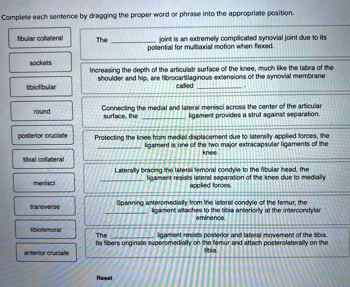 SOLVED: Complete each sentence by dragging the proper word or phrase ...