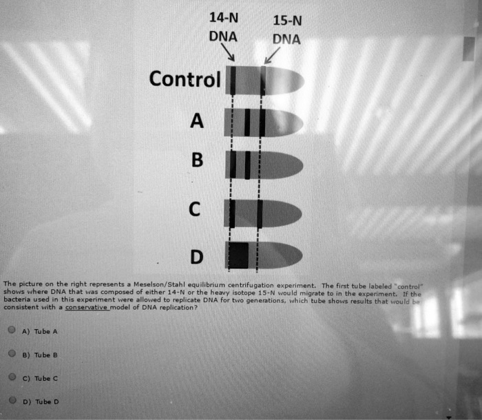 SOLVED: 14-N DNA 15-N DNA Control A B C D picture The right represents ...