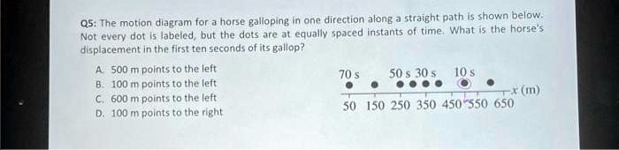 horse galloping in one direction along straight path is shown below a5 ...