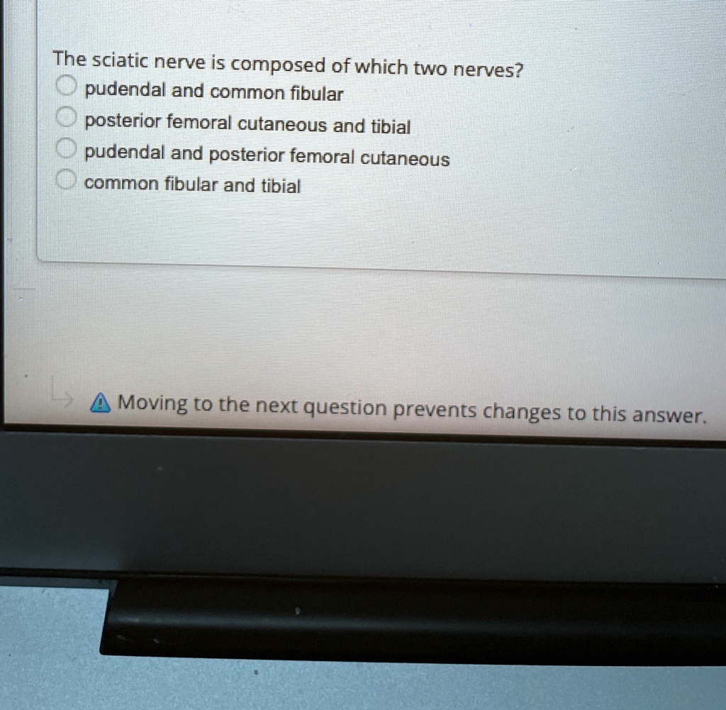The sciatic nerve is composed of which two nerves? pudendal and common ...