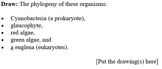 Draw: The phylogeny of these organisms: • Cyanobacteria (a...