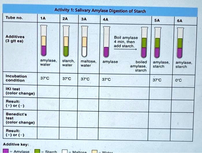Text: For tube 6A, which was incubated at 0 degrees Celsius, what is ...