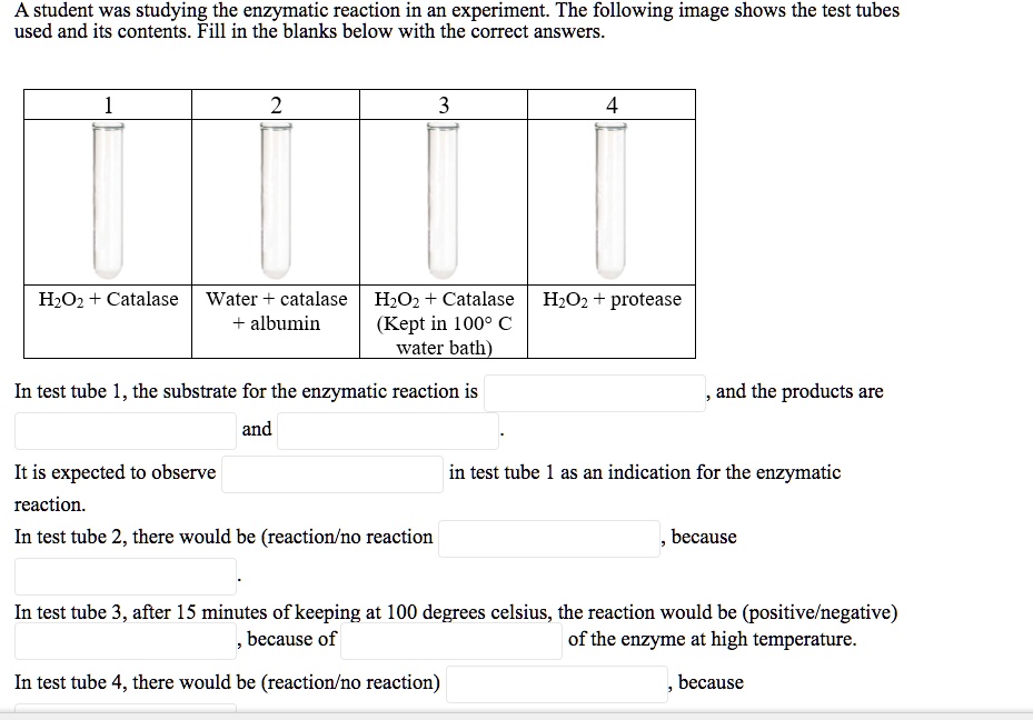 SOLVED: A student was stteding ih the enzymatic reaction in an ...