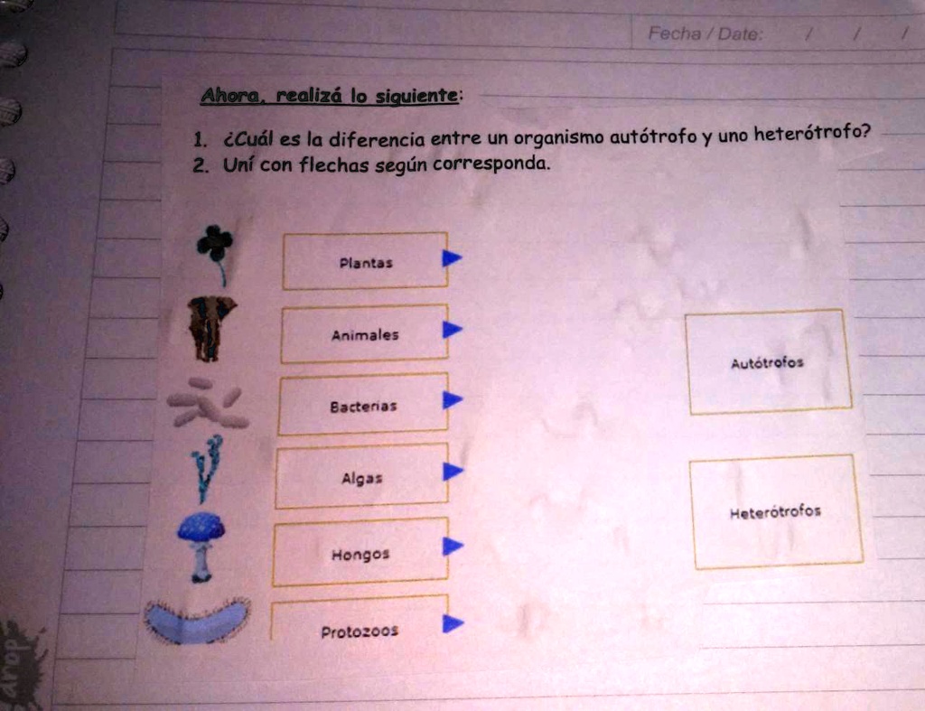 SOLVED: Me ayudan a Unir ...... porfavor Fecha Dato: Ahora realizá ... SOLVED: Me ayudan a Unir ...... porfavor Fecha Dato: Ahora realizá ...