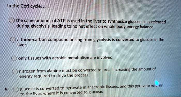 In the Cori cycle, . . . the same amount of ATP is used in...