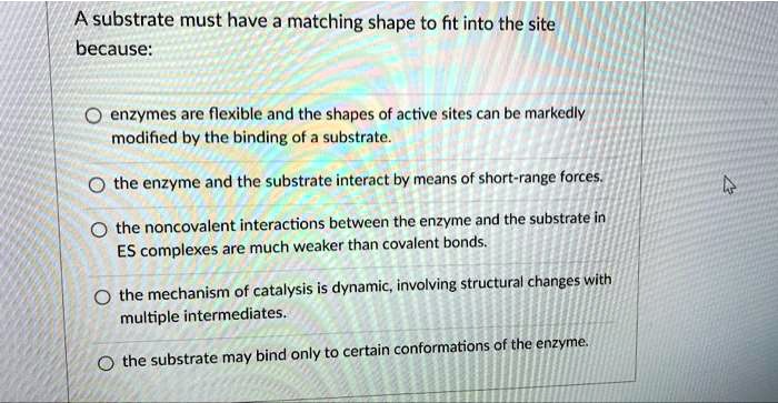 A substrate must have a matching shape to fit into the site because: ? enzymes are flexible and ...