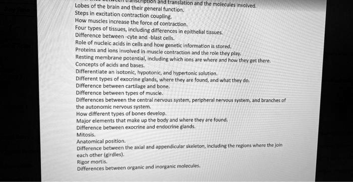 SOLVED: Texts: 1. Lobes of the brain and their general function. 2 ...