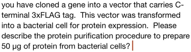 SOLVED: you have cloned a gene into a vector that carries C terminal 3xFLAG tag: This vector was ...
