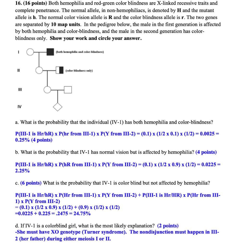 SOLVED:16. (16 points) Both hemophilia and red-green color blindness ...