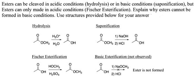 Ester Definition Structure Esterification Along With
