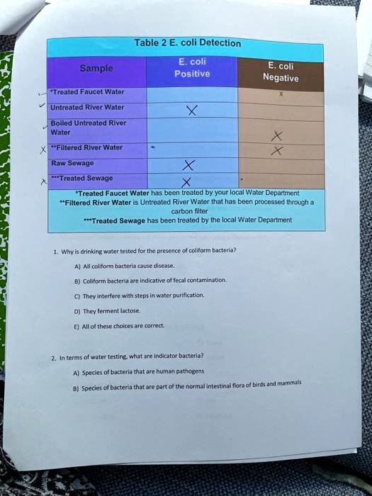 table 2 e coli detection coli positive coli negative sample tineatco ...