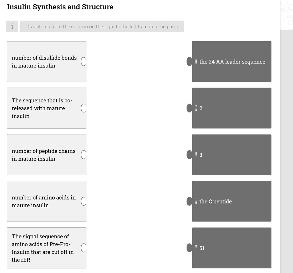 SOLVED: Insulin Synthesis and Structure Drag items from the column on ...