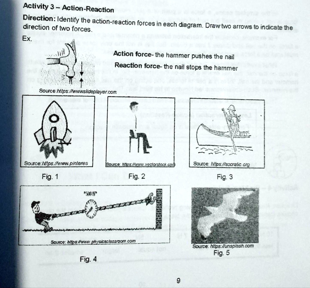 Solved Activity 3 Action Reaction Direction Identity The Action