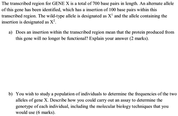 SOLVED: The transcribed region for GENE X is total of 700 base pairs in ...