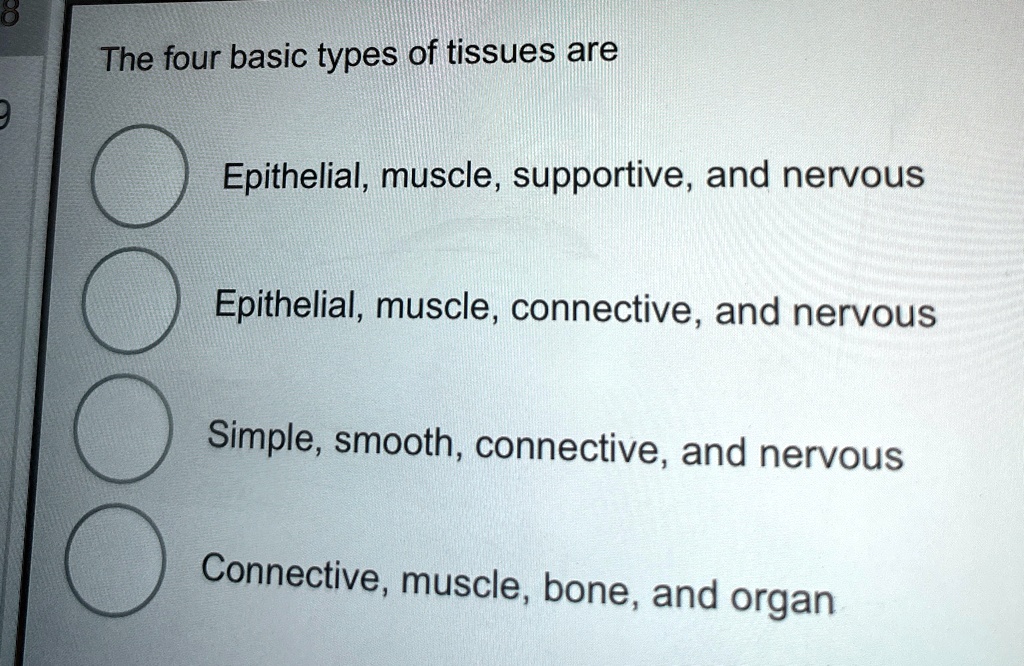the four basic types of tissues are epithelial muscle supportive and ...
