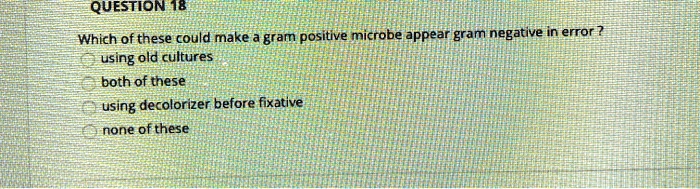 SOLVED: QUESTION 18 Which of these could make a gram positive microbe ...