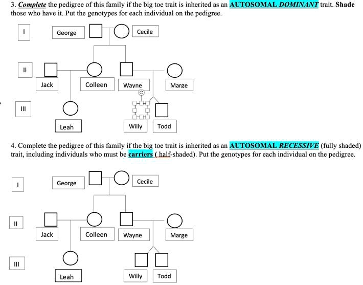 complete the pedigree of this family if the big toe trait is inherited ...