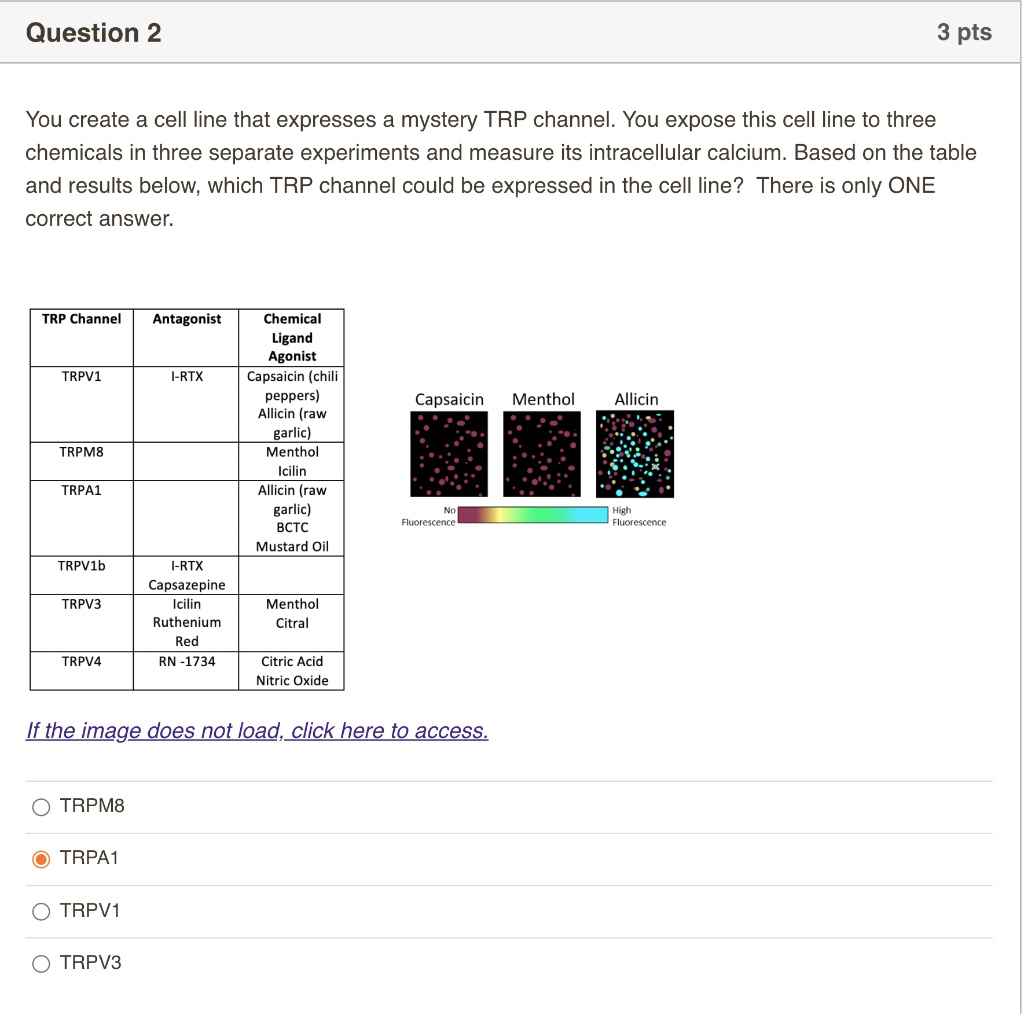 question 2 3 pts you create a cell line that expresses a mystery trp ...