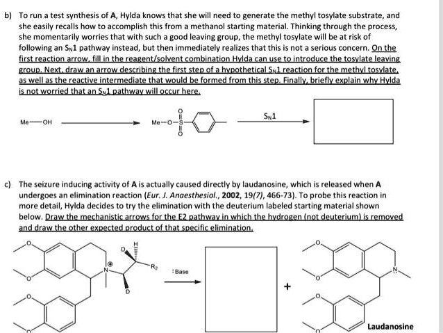 to run test synthesis hylda knows that she will need generate the ...