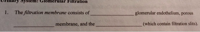 SOLVED: The filtration membrane consists of glomerular endothelium, a ...