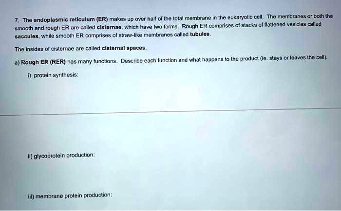 SOLVED:The endoplasmic reticulum (ER) makes up over half of the total ...