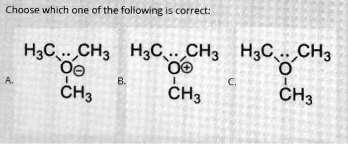 Solved H3c Ch3 H3c Ch3 H3c Ch3 Ch3 Ch3 Ch3