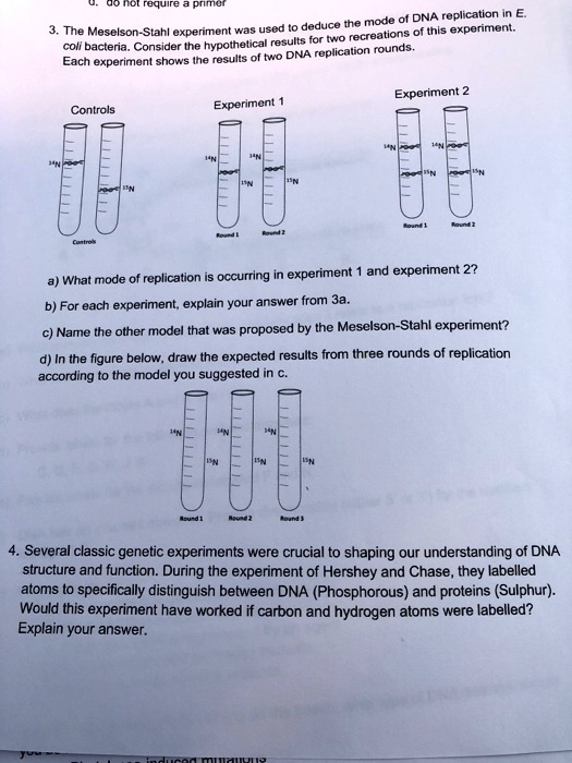 dondl equire pmiu dna replication deduce the mode the meselson stahl ...