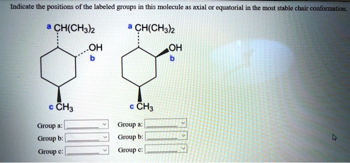 SOLVED: Indicate the positions of the labeled groups in this molecule ...