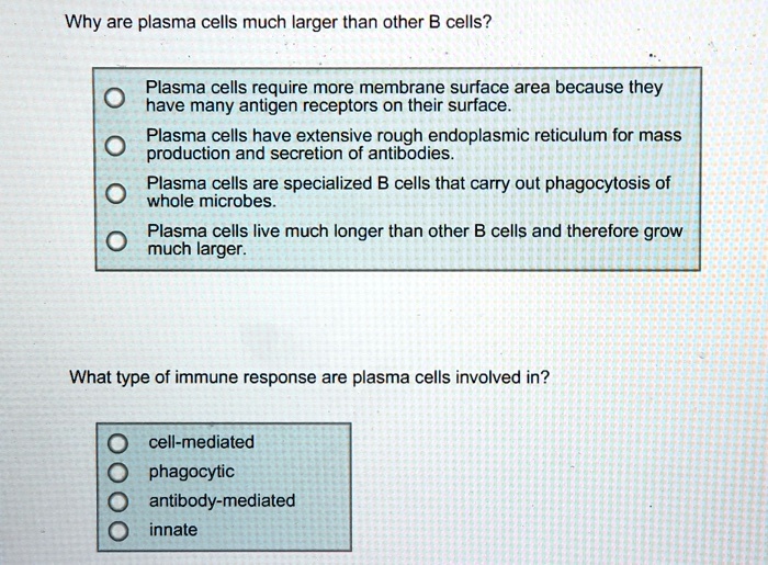 SOLVED: Why are plasma cells much larger than other B cells? Plasma ...