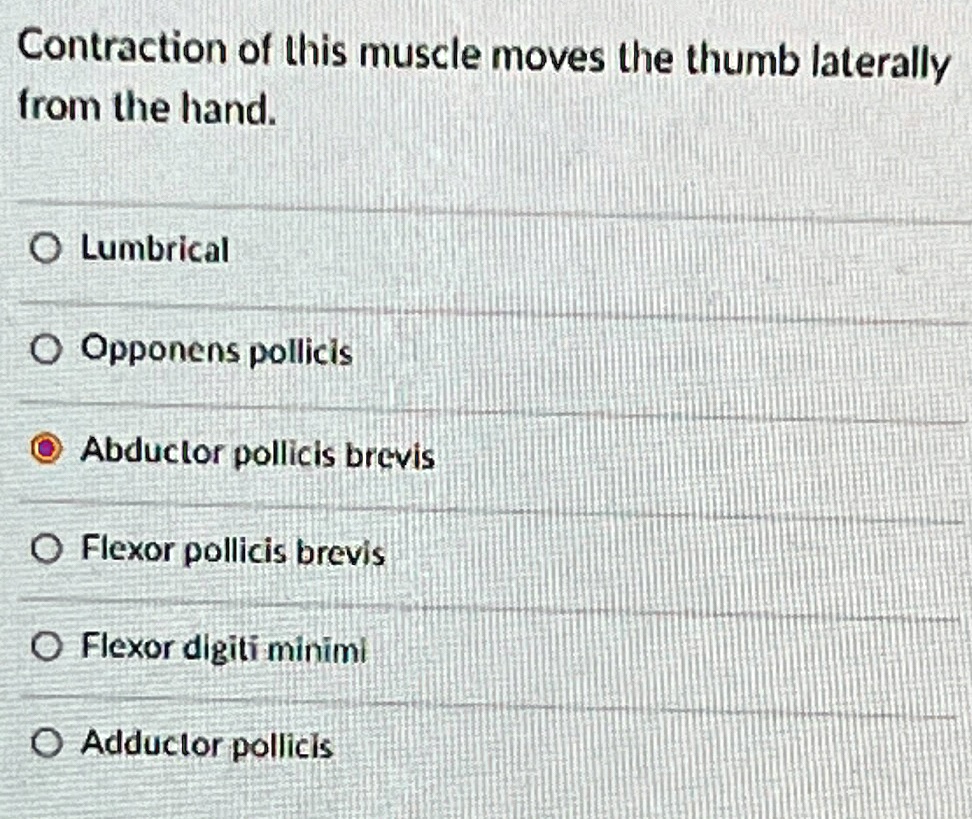 contraction of this muscle moves the thumb laterally from the hand o ...