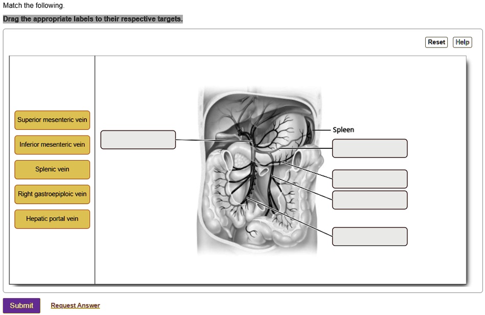 [GET ANSWER] Match the following. Drag the appropriate labels to their ...