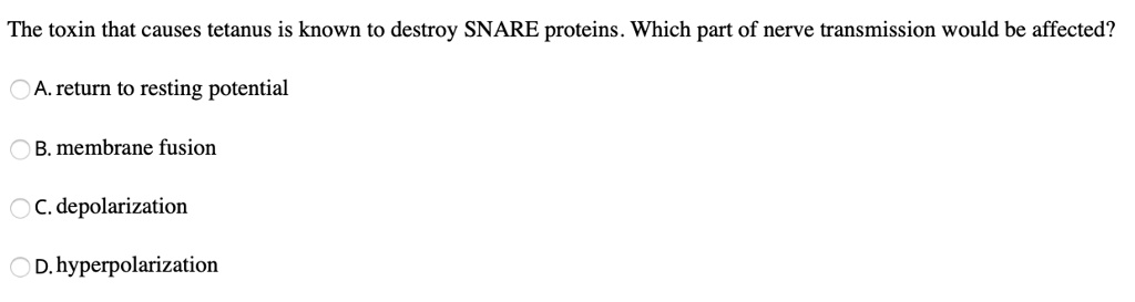 The toxin that causes tetanus is known to destroy SNARE proteins. Which ...