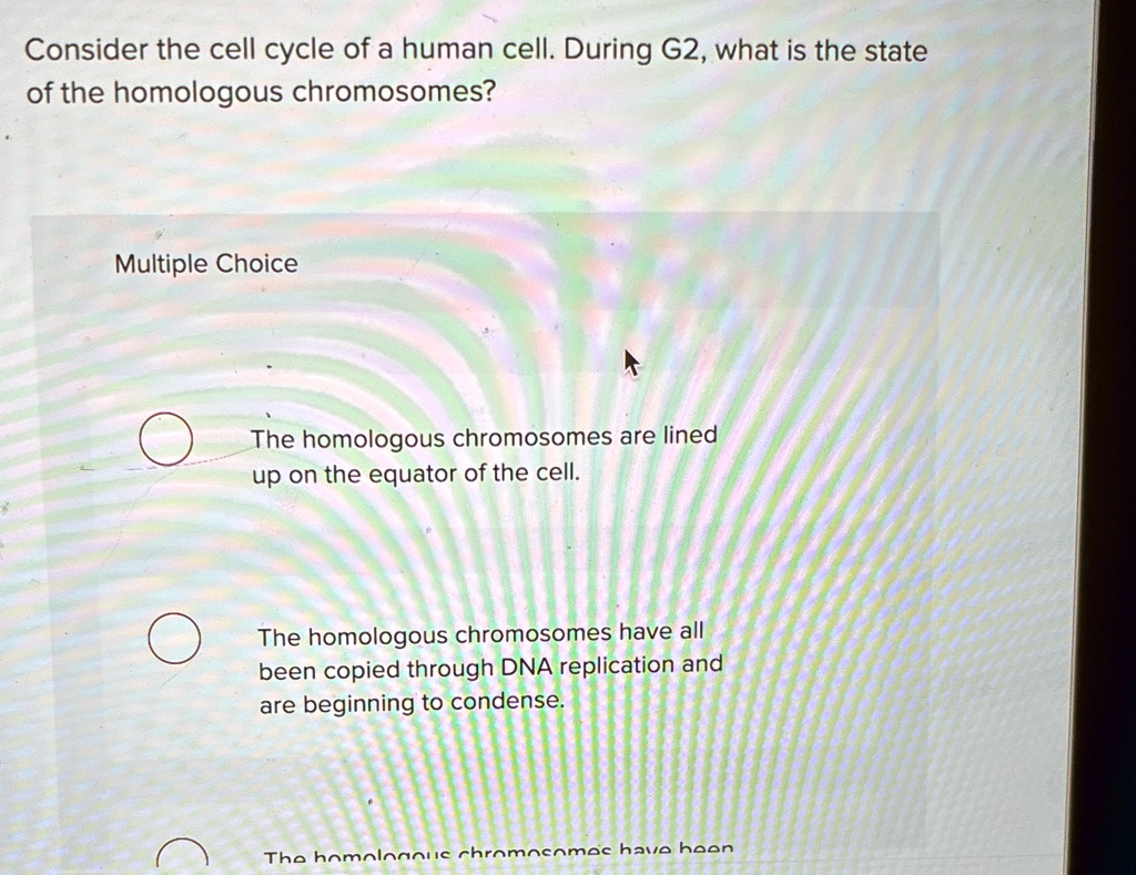 consider the cell cycle of a human cell during g2 what is the state of ...