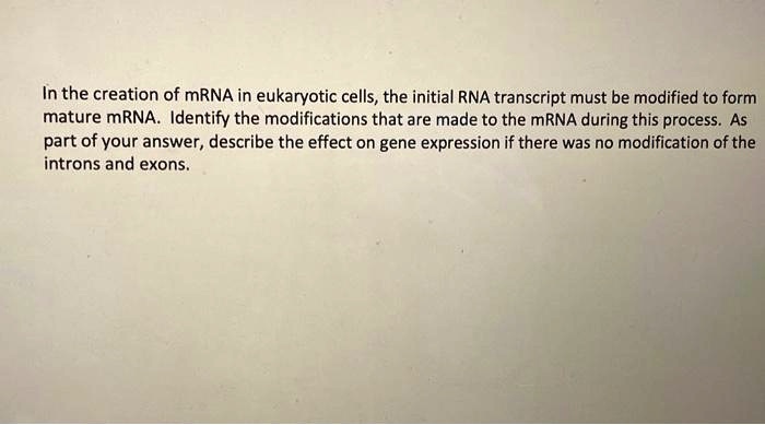 SOLVED: In the creation of mRNA in eukaryotic cells, the initial RNA transcript must be modified ...