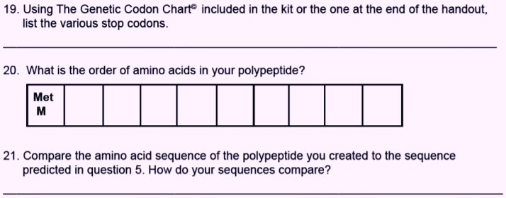 19 using the genetic codon charte included in the kit or the one at the ...